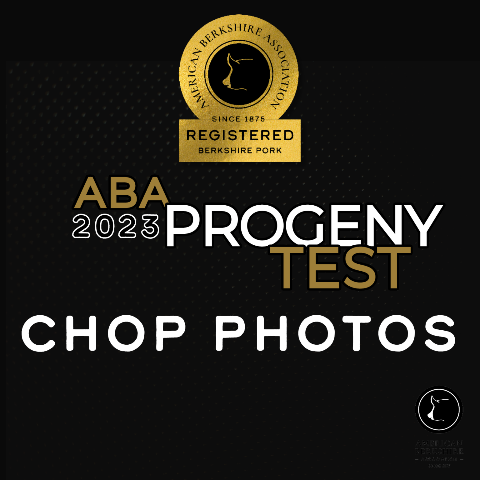 2023 ABA Progeny Test Pork Chop Photos - American Berkshire Association ...